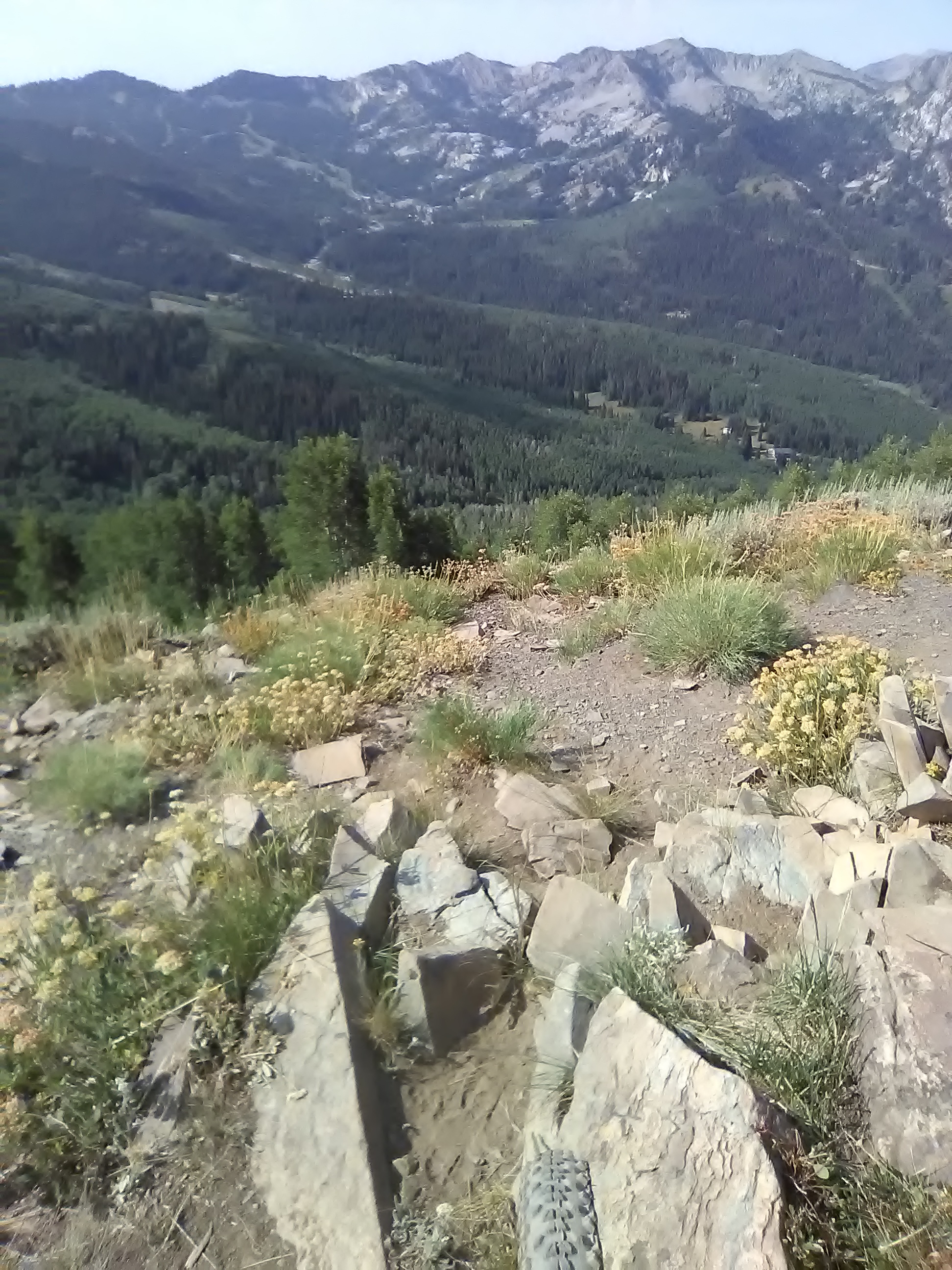 Mountain Crest Trail – Xenosthesia.com
