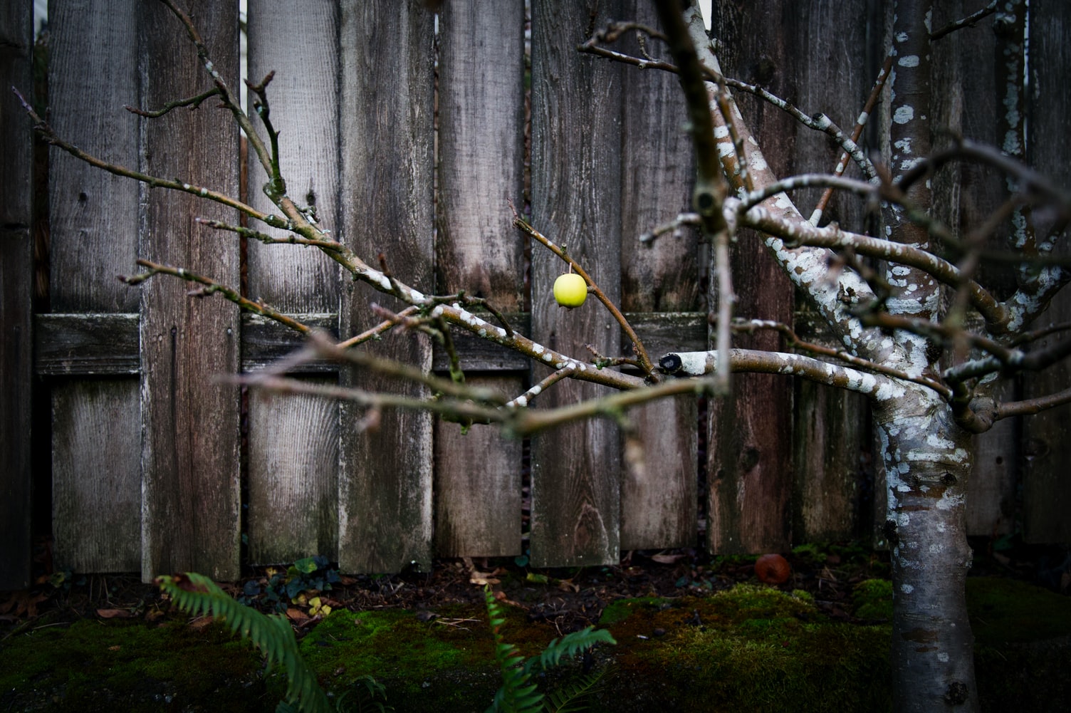 Holding A Grudge – Xenosthesia.com